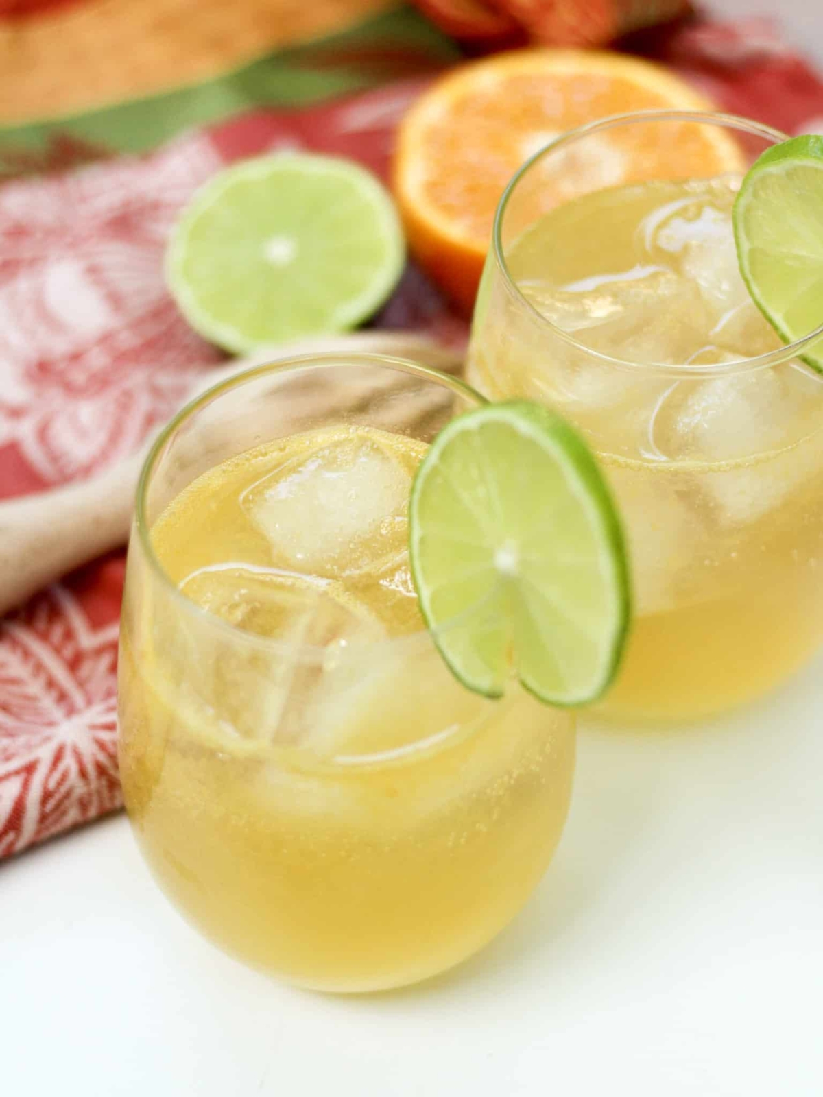 Sparkling Citrus Infused Mocktails