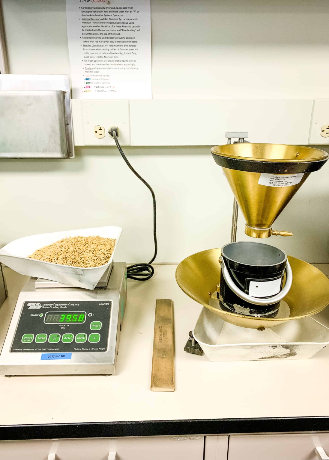 Where Does Oatmeal Come From? Rolled Oats vs. Quick Oats