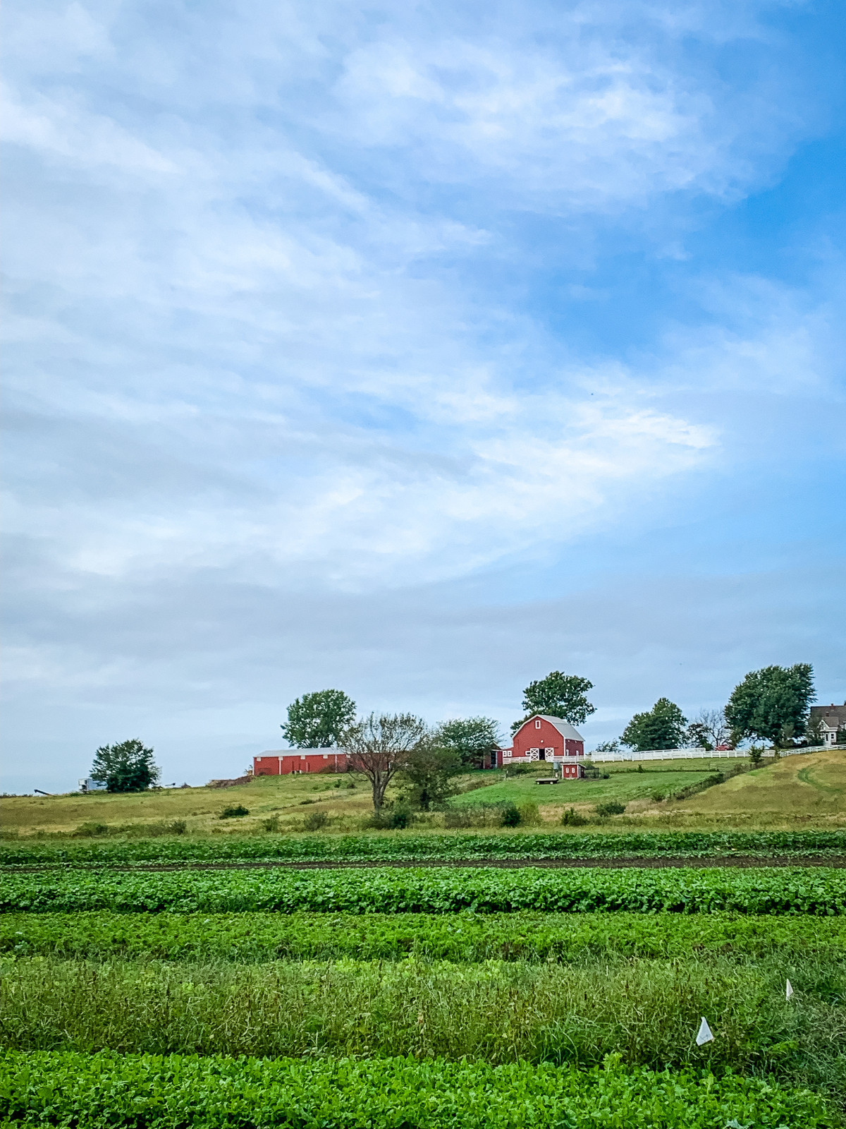 Where Does Food Come From? Kansas Agriculture and the #FarmFoodTour