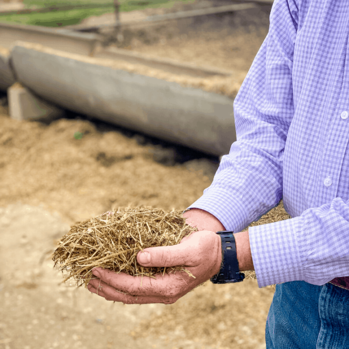 Beef Sustainability Facts: How Do You Make Beef More Sustainable?