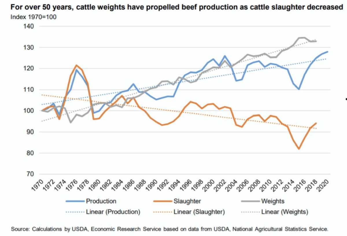 Beef Sustainability Facts: How Do You Make Beef More Sustainable?